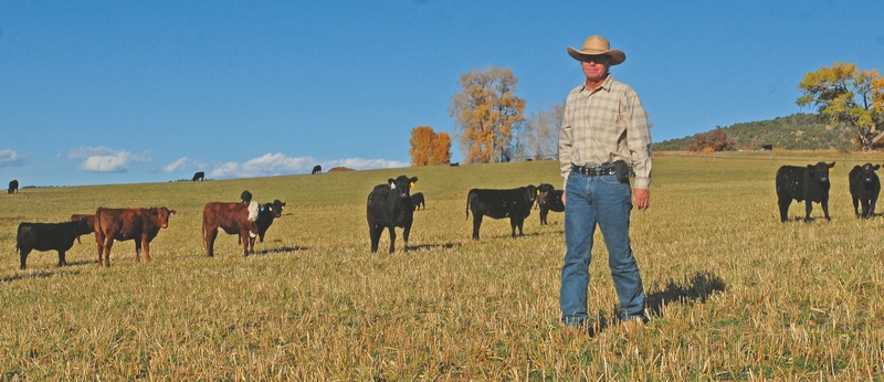 Tybar still taking cattle ranching to new heights | PostIndependent.com